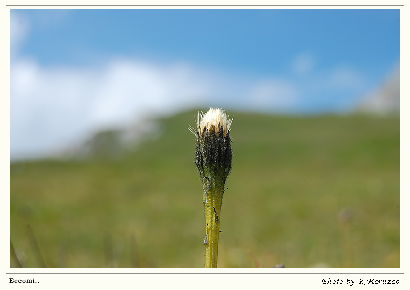 [fotoreport] Escursionismo negli Alti Tauri (AT) parte 2 (aggiornato)